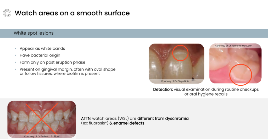 Welcome Kit – vVARDIS Professional US